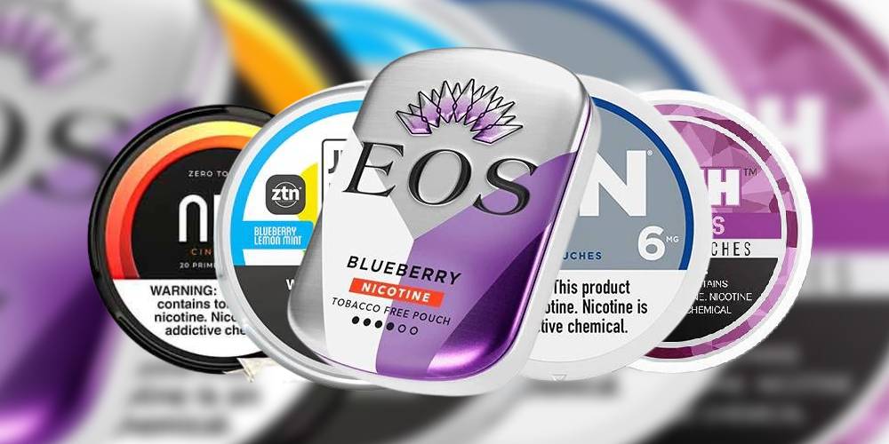 Best Nicotine Pouches (8 Top Flavors & Brands)